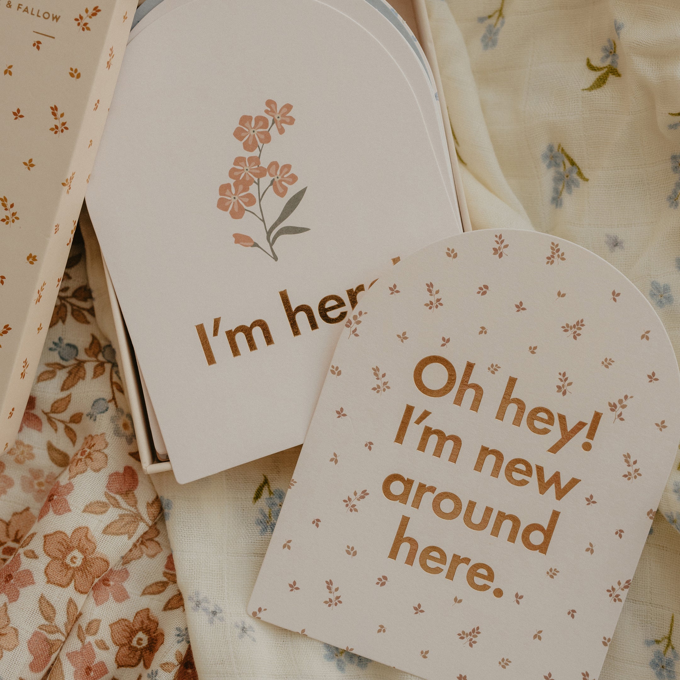 Baby Milestone Cards Broderie | Baby Milestone Cards NZ | My Blanket ...